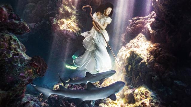 Photographing a Mythical Shark Shepherd: The Story Behind the Shot