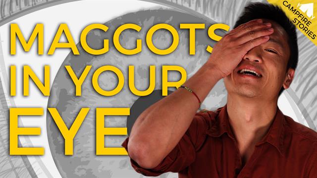 Maggots In Human Eye