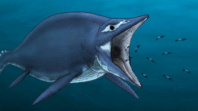 Ichthyosaurs 101