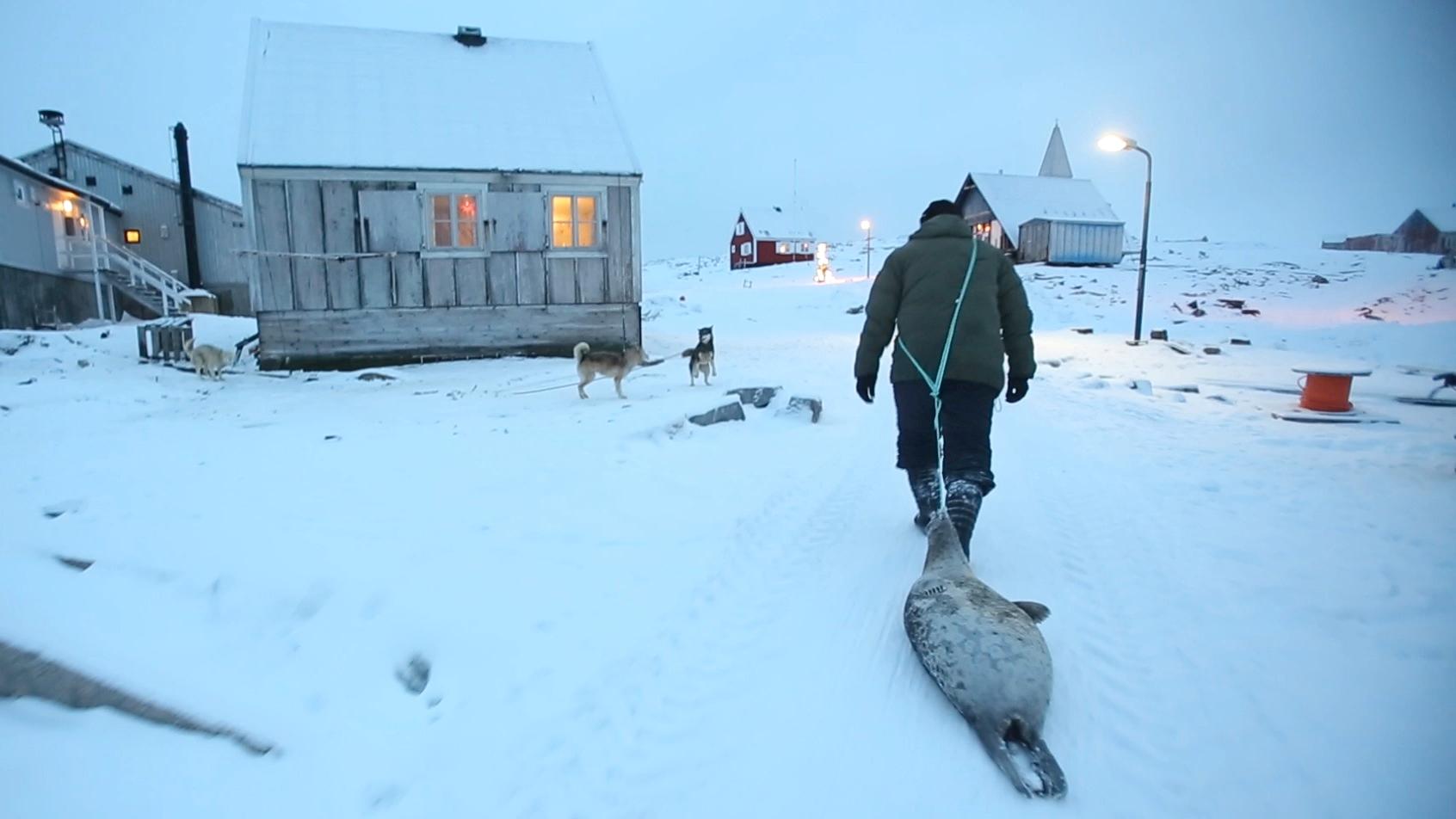 Inuit Shelter And Food