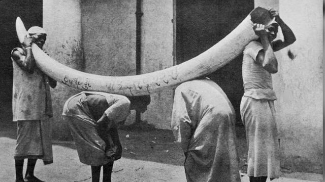 Ivory’s Historical Connection to the Slave Trade